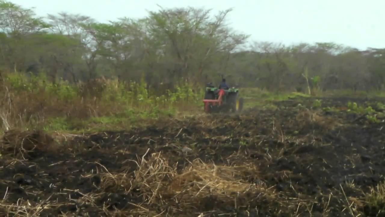 Rented Tractor at work, TRADIEX Agriculture Project, SEBELE, FIZI, D.R ...