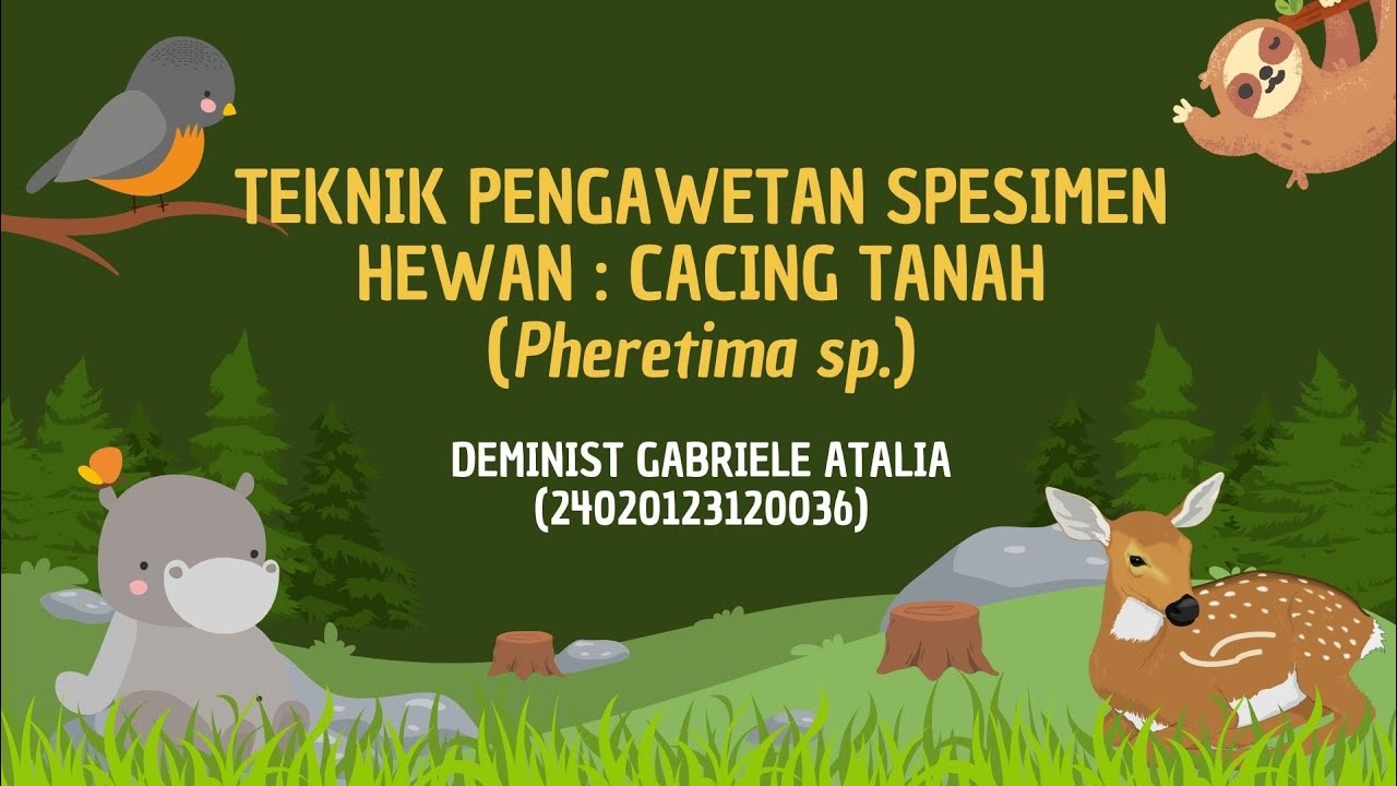 Teknik Pengawetan Spesimen Hewan: Cacing Tanah (Pheretima sp.) - YouTube