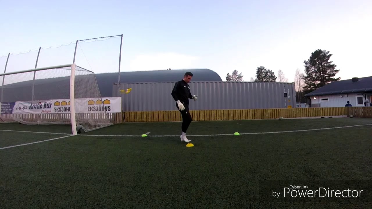 Drop-Step and Handling | Professional Goalkeeper Training Session ...