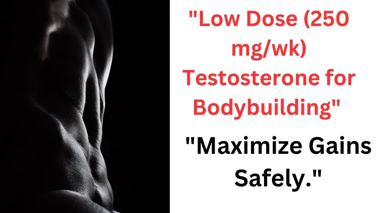 Beginner Cycle : Low Dose (250 mg/week) Testosterone for bodybuilding ...