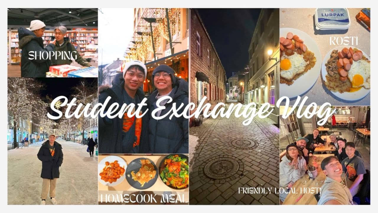 NTU Student Exchange Trip to Norway Vlog #5 | Challenge one-day vlog in ...