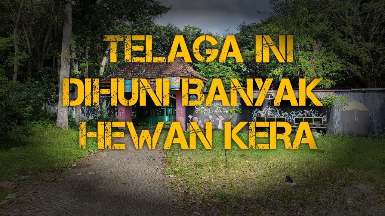 TELAGA BURET || TULUNGAGUNG #gunungkidul #explore - YouTube