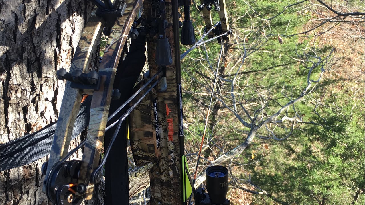 2019 Ten Point Wicked Ridge Crossbow 8 Point Buck Self Filmed - YouTube