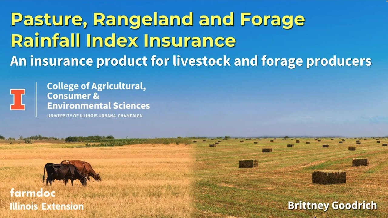 Pasture, Rangeland and Forage Rainfall Index Insurance - YouTube