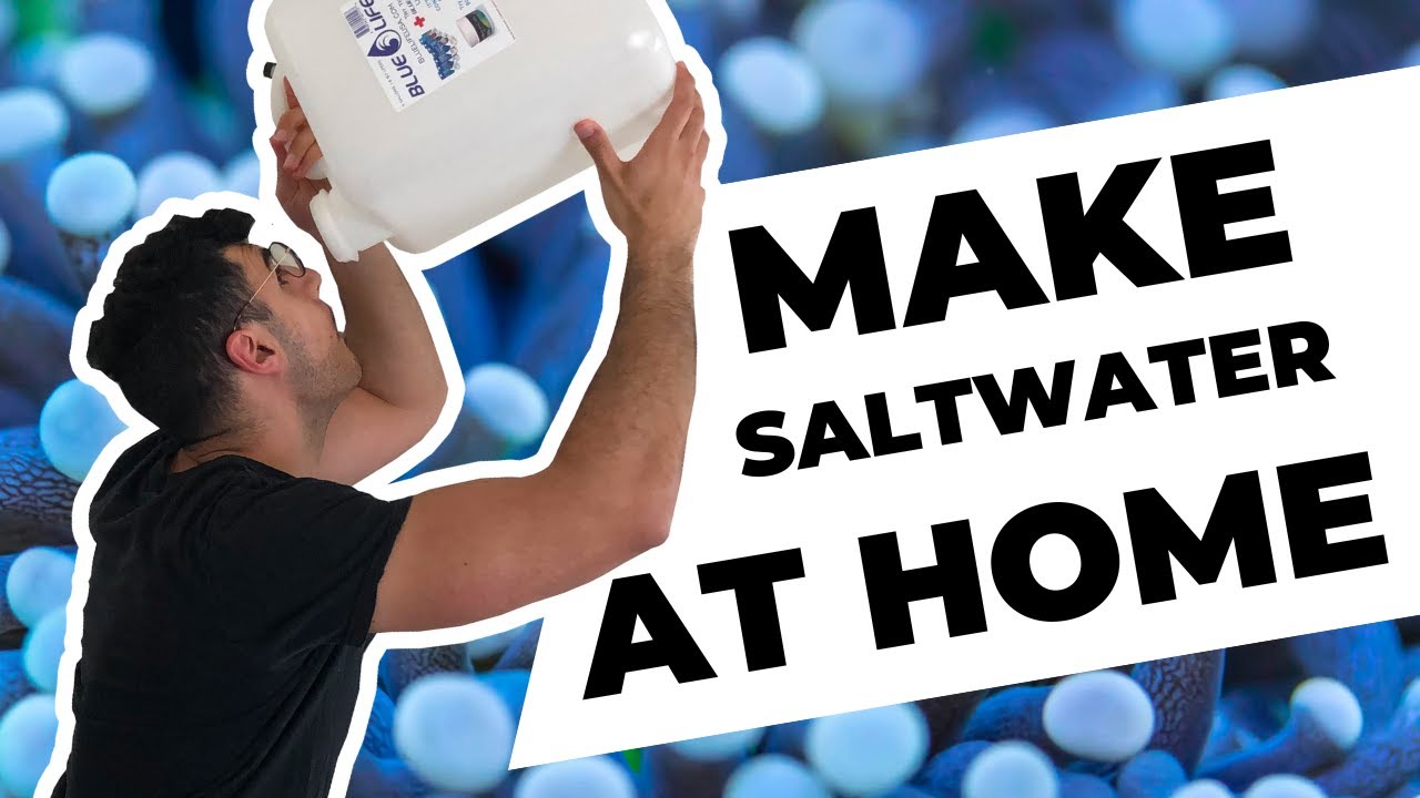 Making Saltwater Is Easy - Learning Reefing Basics - YouTube
