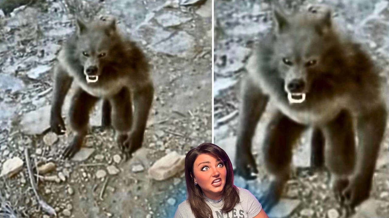 SHOCKING Real CRYPTIDS Caught On Trail Cam You've NEVER Seen 2026 - YouTube