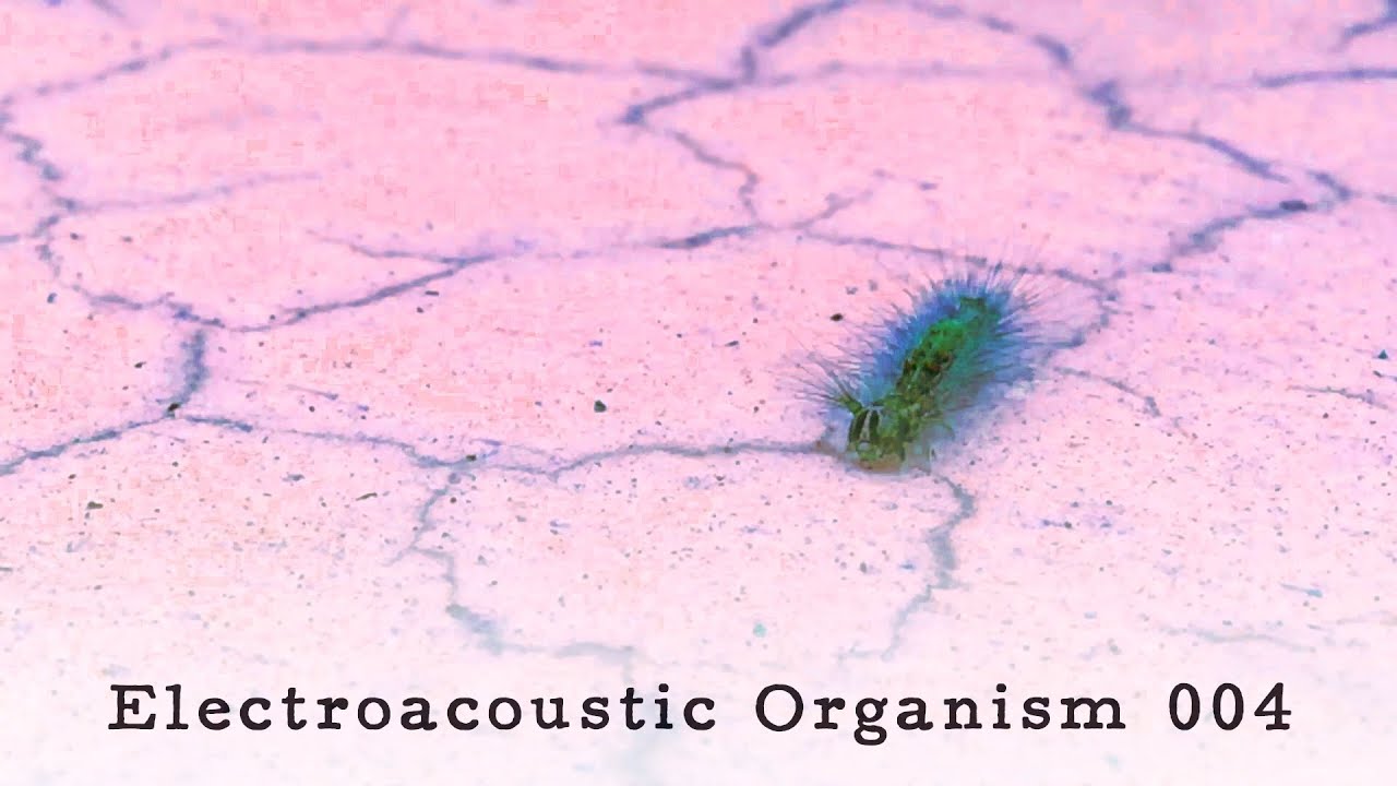 (6 MIN) ELECTROACOUSTIC ORGANISM 004 (Experimental Techno, Abstract ...