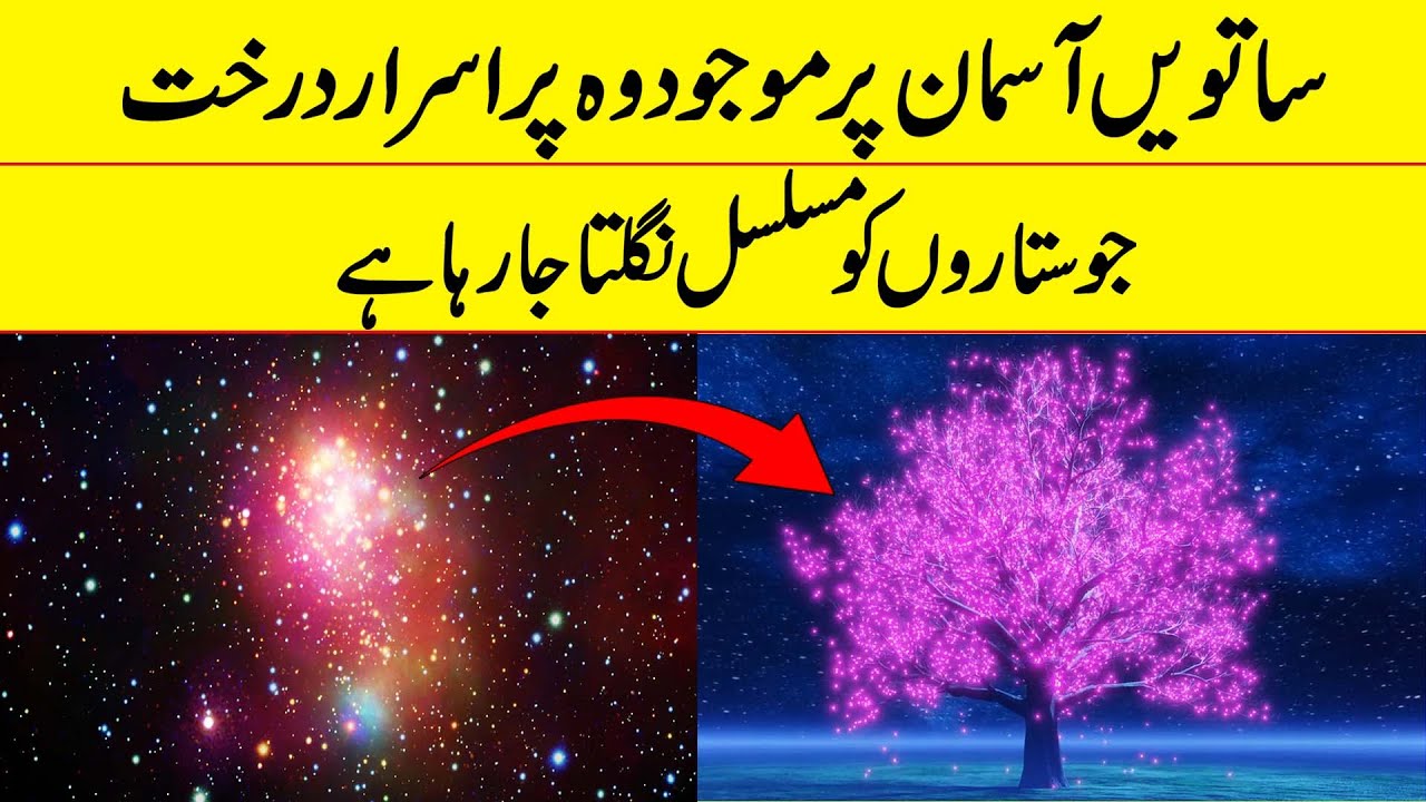 The Story of NASA And The Seventh Sky Tree | If Tv - YouTube