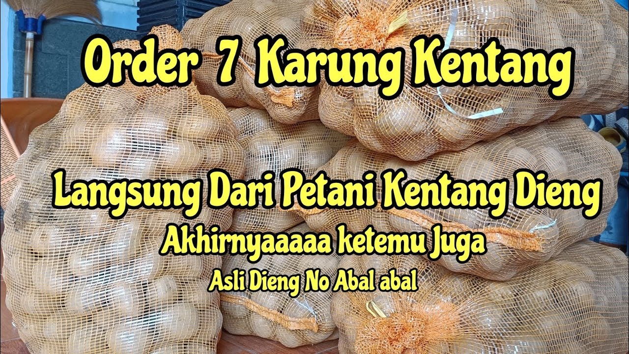 ORDER 7 KARUNG KENTANG ASLI DARI PETANI KENTANG DIENG // KENTANG DIENG ...