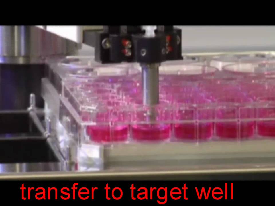 Automated isolation of stem cell colonies with the CellCelector (AVISO ...
