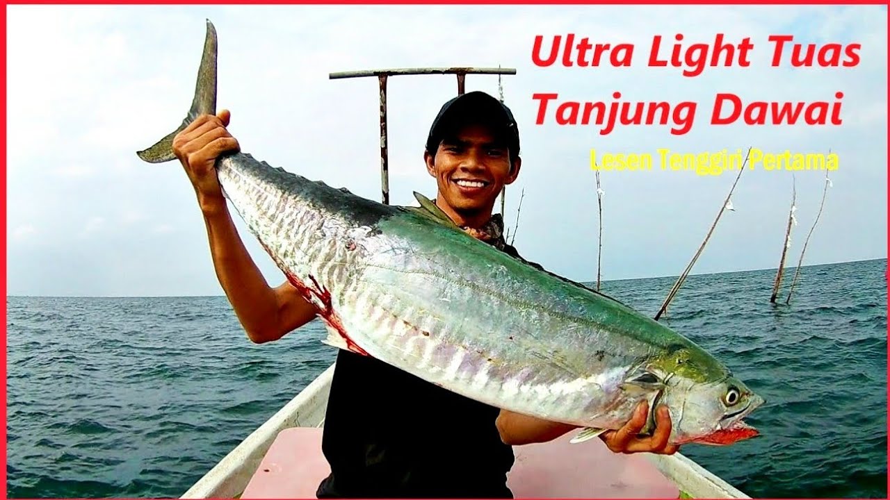 Mancing Ultra Light Dan Micro Jigging Tuas Tanjung Dawai (Spanish ...