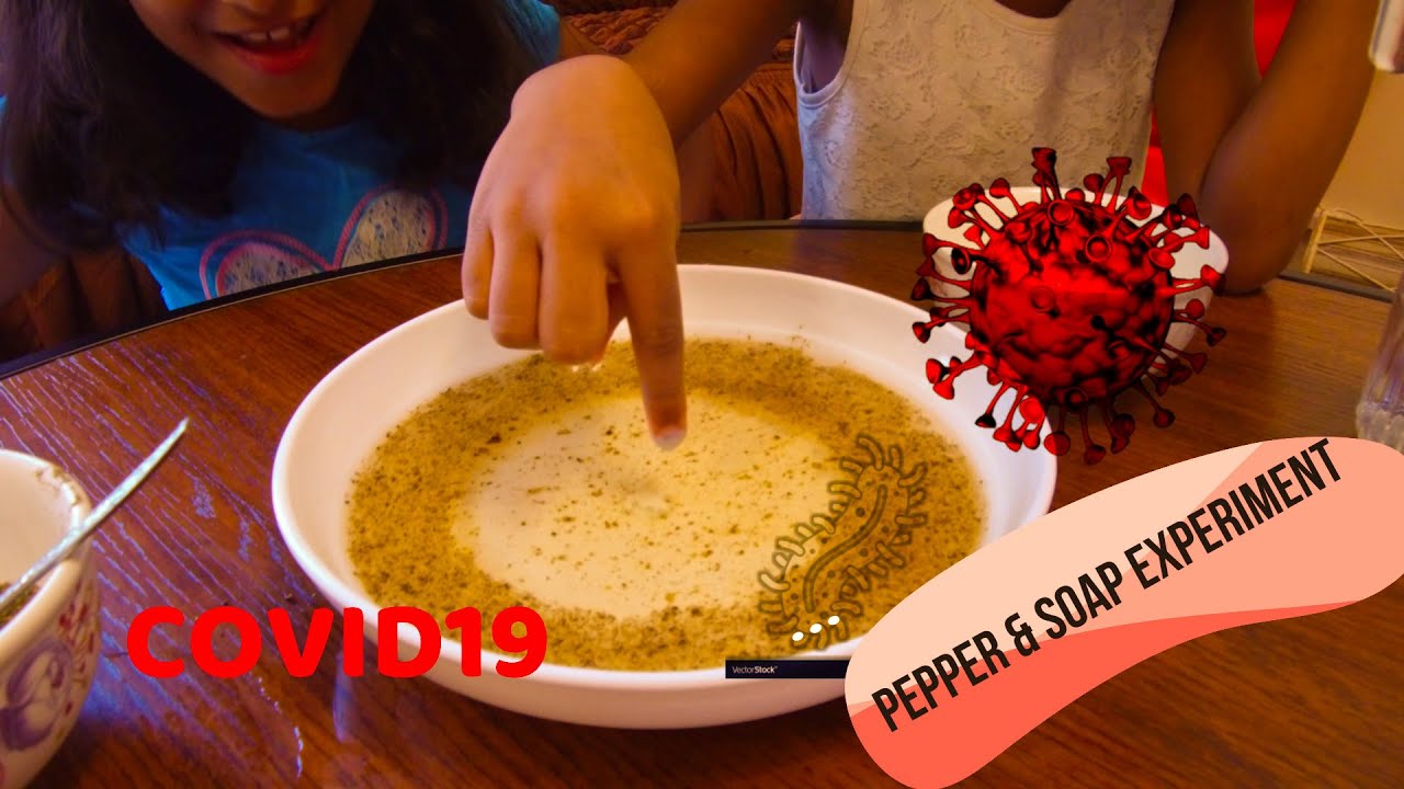 PEPPER AND SOAP EXPERIMENT FOR KIDS - DIY HOME ACTIVITY - YouTube