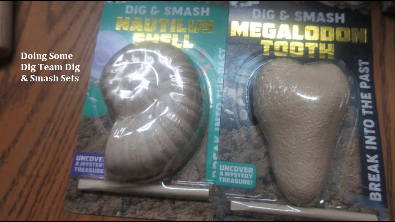 Doing Some Dig Team Dig & Smash Sets - YouTube