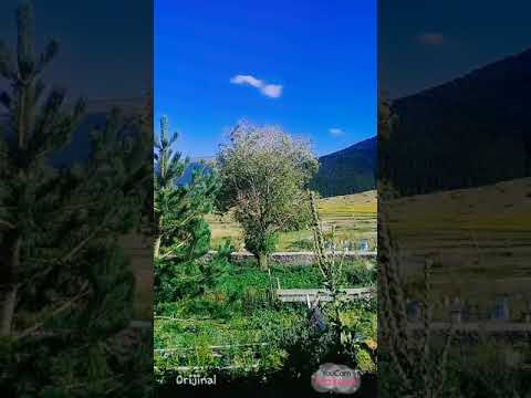 Özledim köyümü özledim Türküsü