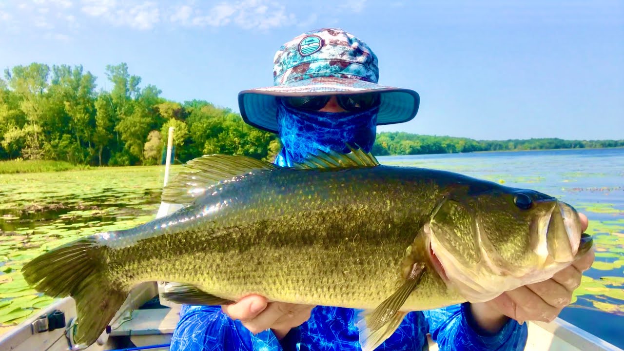 NEW Rod and Reel Setup - Top Water Frog Fishing Success! - YouTube