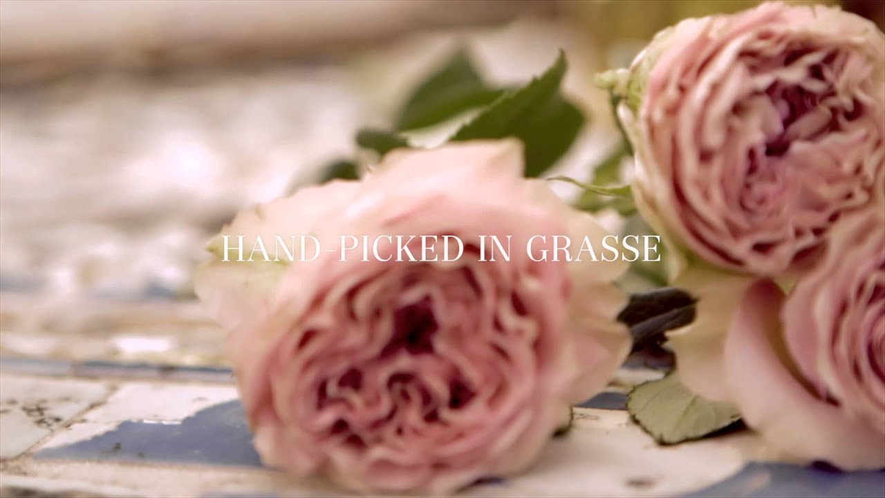Introducing Rose de Grasse - YouTube