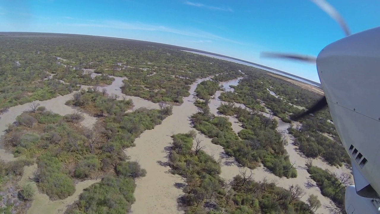 Aerial survey of channels surrounding Narran Lakes - YouTube