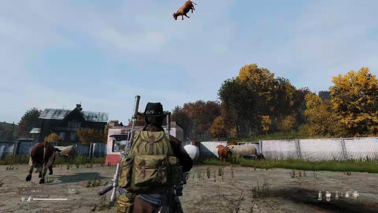 DayZ- When cow's fly. - YouTube
