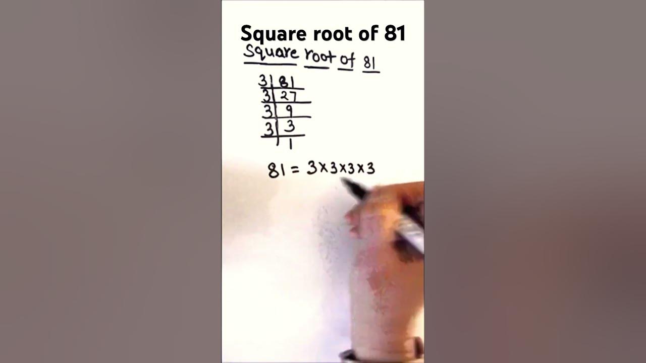 How To Find Square Root Of 81 By Prime Factorization Square Root Of how-to-find-square-root-of-81-by-prime-factorization-square-root-of