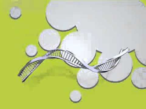 PCR and Real time PCR Animation bases - YouTube
