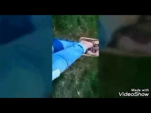 (despacido) yorumlarla sarkı