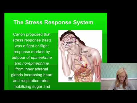 Stress Notes for AP Psychology by Mandy Rice - YouTube