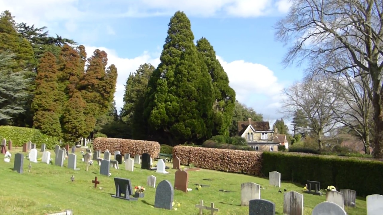 Churchyard - Cemetery - Midhurst - Old tree - Gömul tré - Kirkjugarður ...