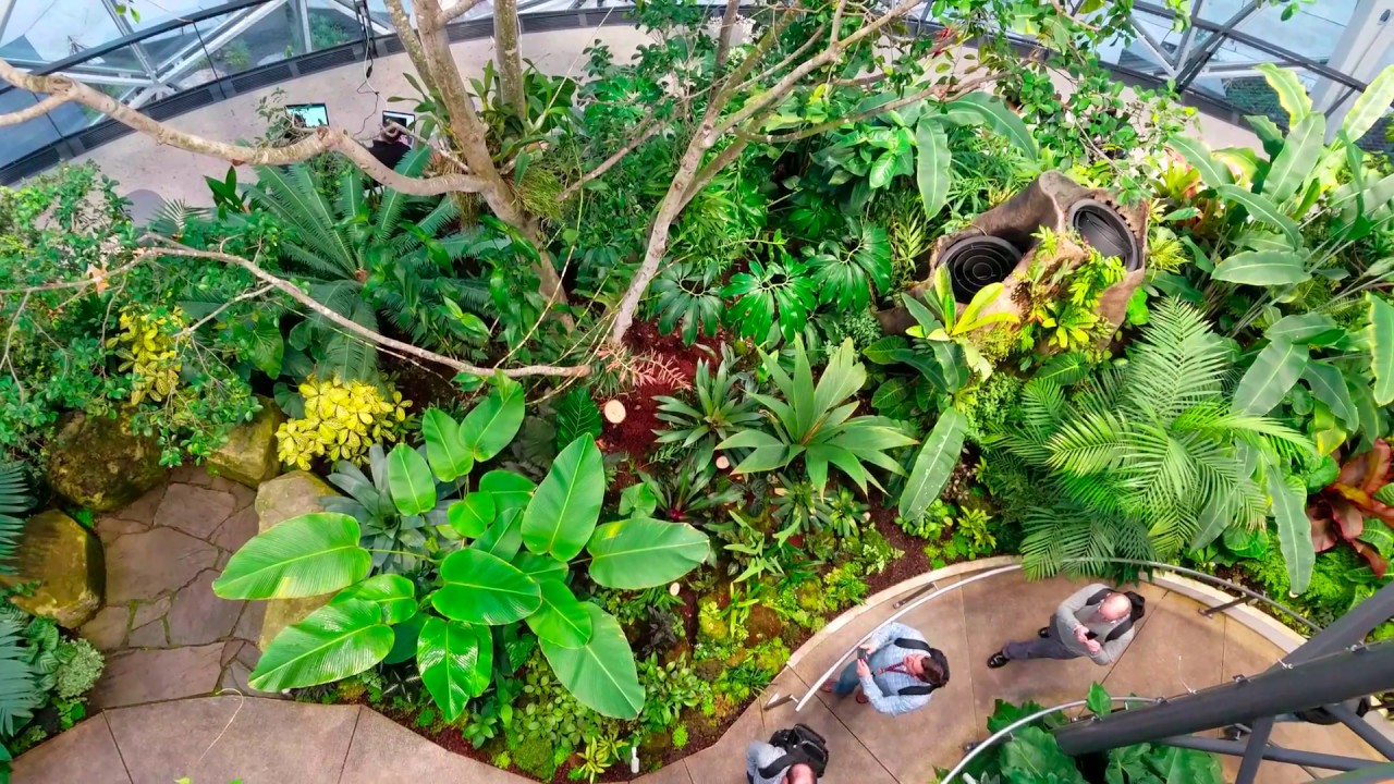 Amazon Spheres Inside Tour 4K UHD - YouTube