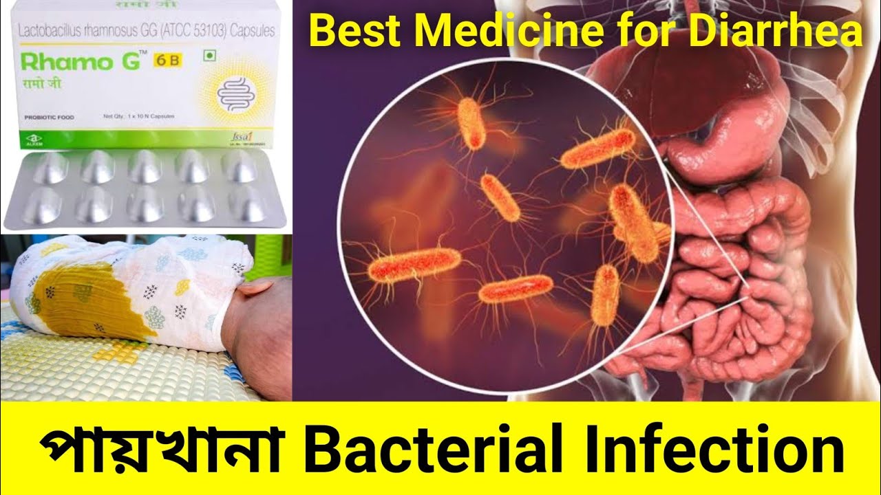 Rhamo g 6b capsule uses in bengali | lactobacillus capsule | Benifits ...