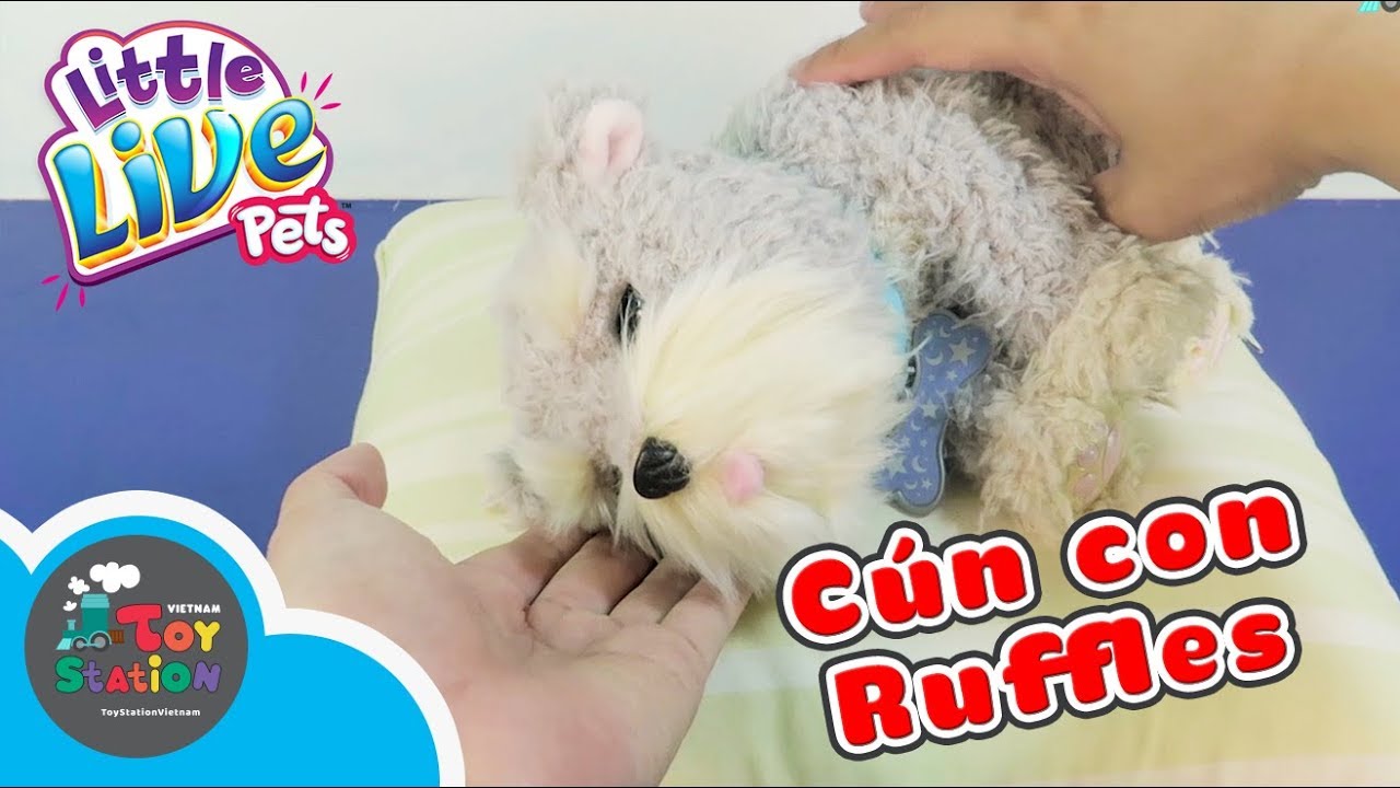 Little Live Pets Cún Con Ruffles dễ thương muốn xỉu từ Rangs Japan ...