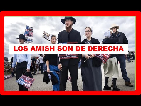 Los Amish salen a votar por primera vez: Un ejemplo a seguir por la ...