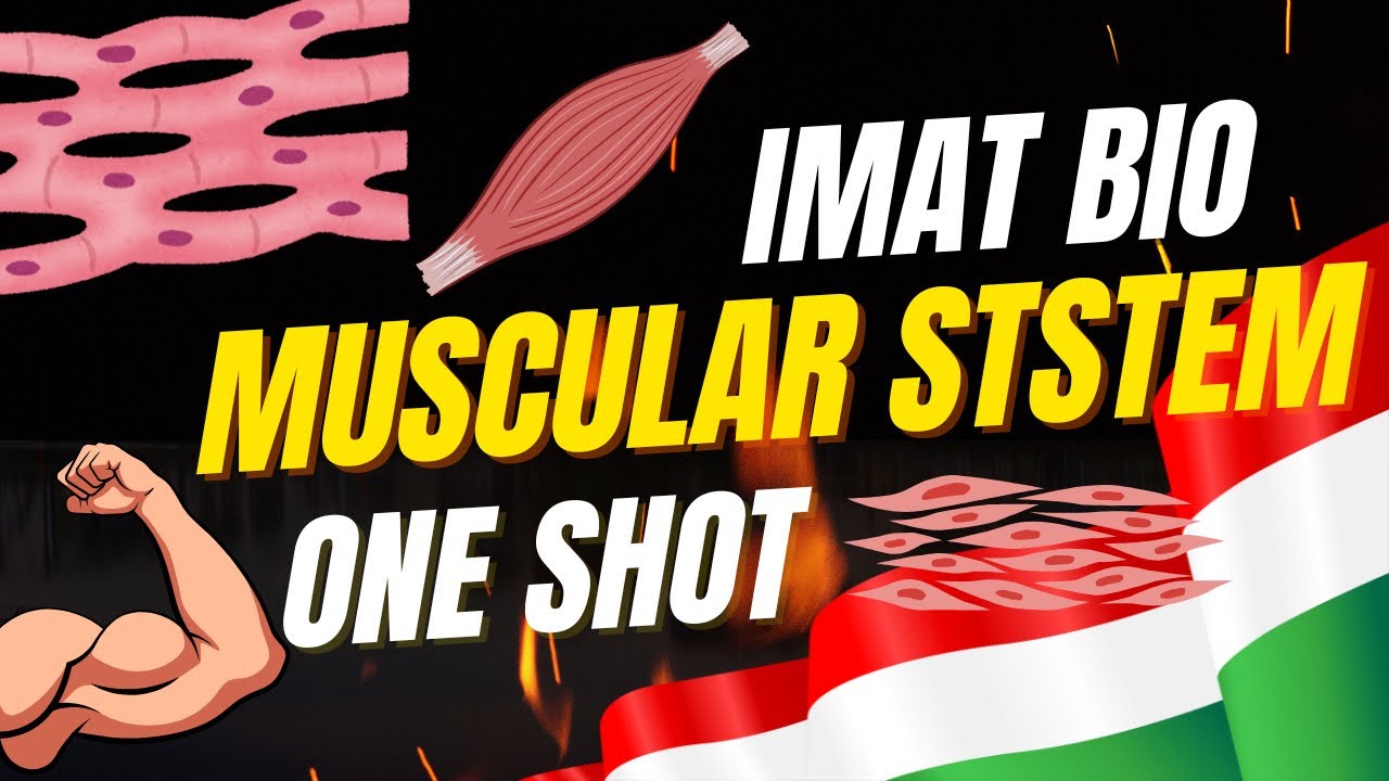 One Shot Muscular System | IMAT | Complete Biology Crash Course ...