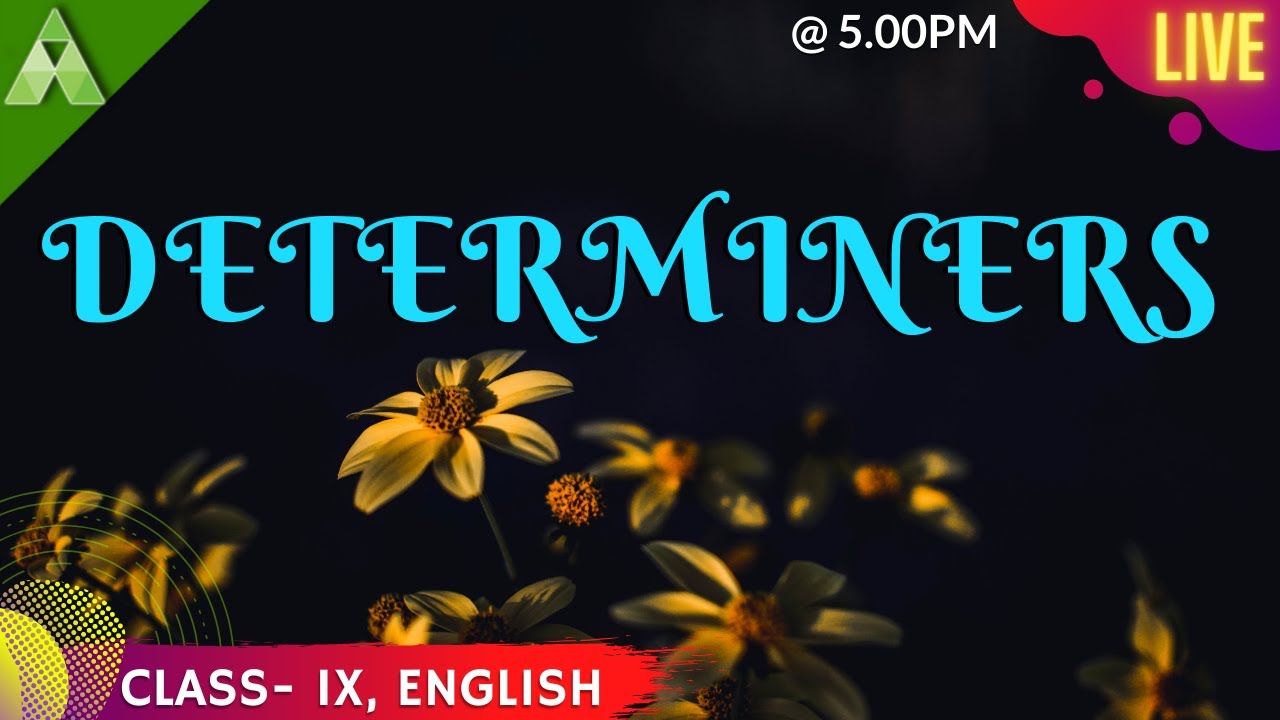 Determiners | English Live Quiz Class 9 | Aveti Learning - YouTube