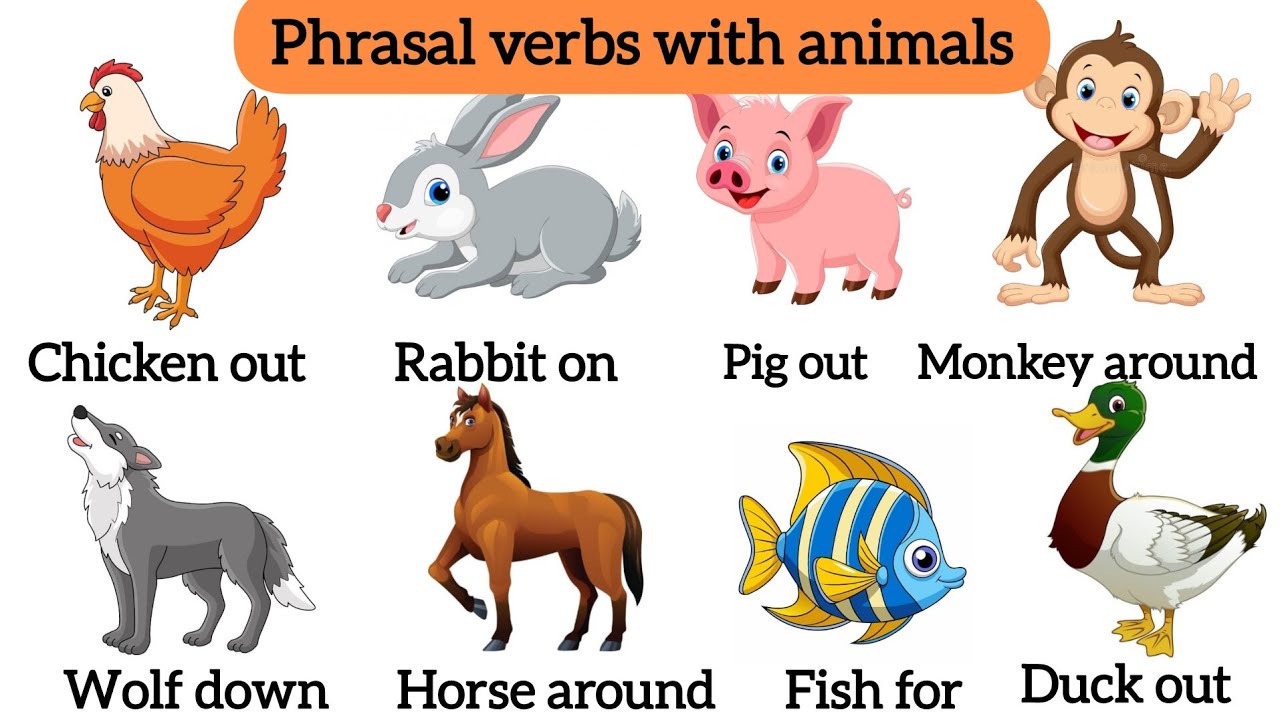Important phrasal verbs with animal names | Improve your English skills ...