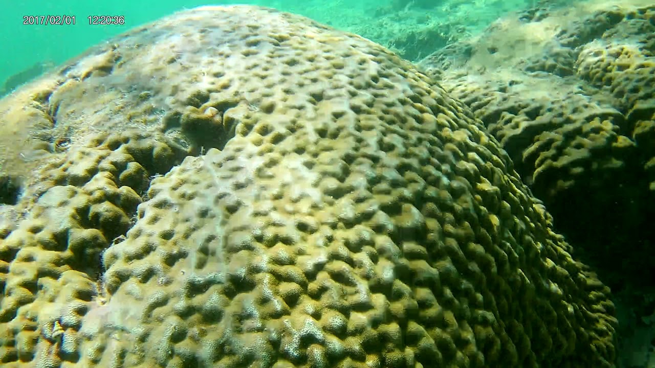 Maeda Beach Oct. 2018 - YouTube