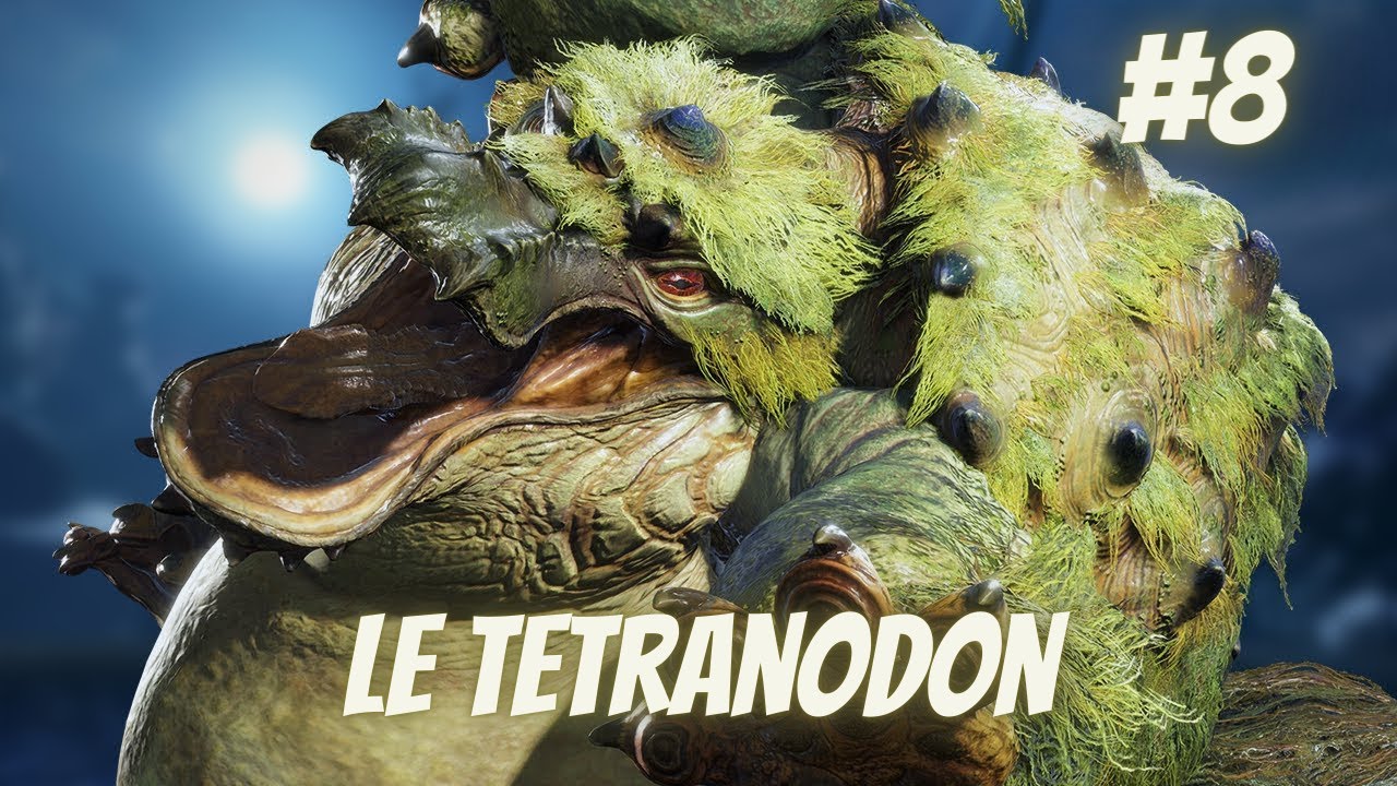 Mh rise #8 Le tetranodon - YouTube