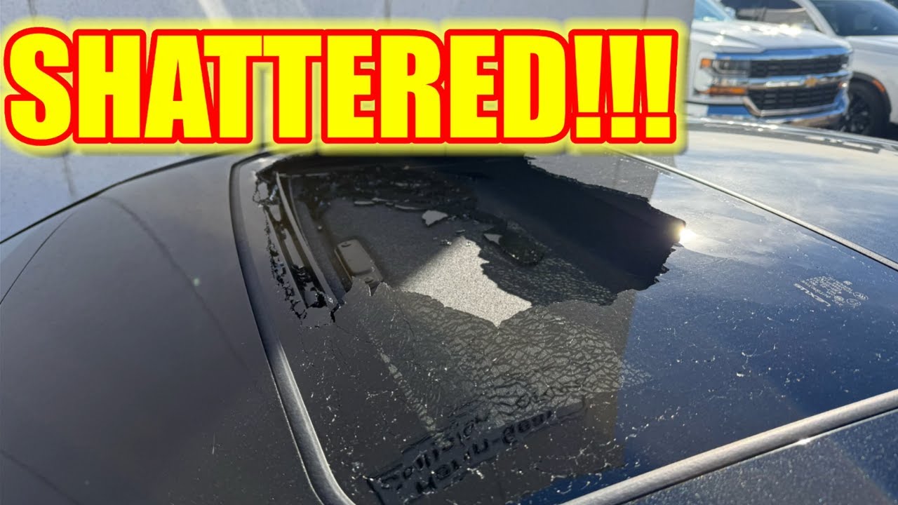 Lexus IS 350 Body shop fail paint and cleaning issues - YouTube