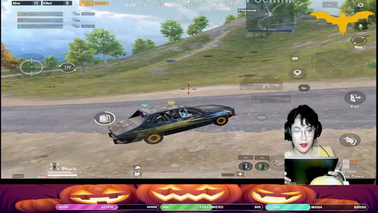 Cher the pig - YouTube