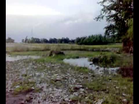 charbagh swat - YouTube