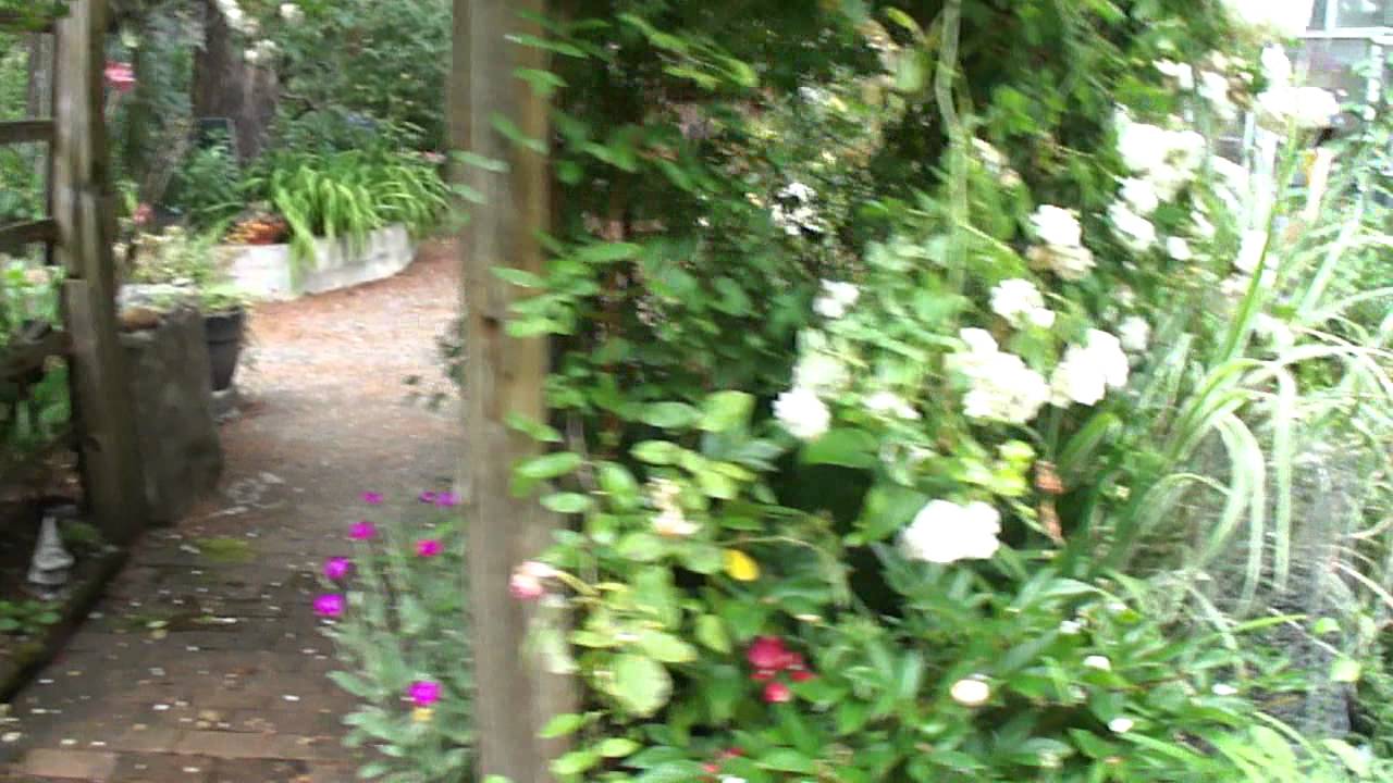 Garden videos, part 2 - YouTube
