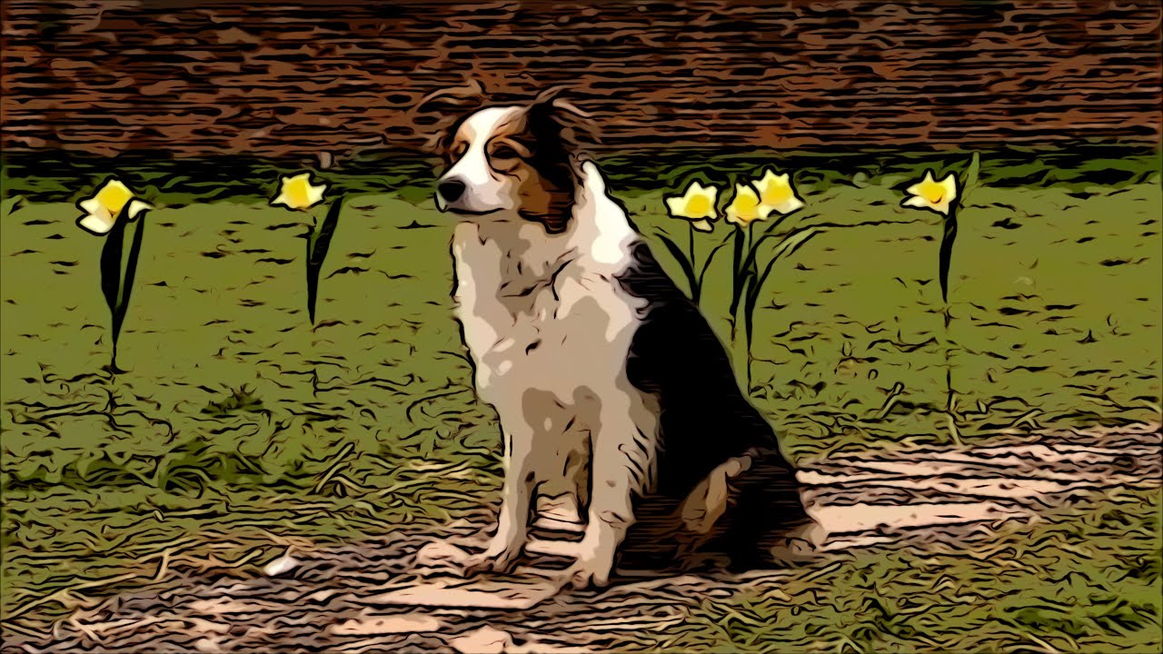 Big Barn Farm: Old Pop (Comic Filters) (2) - YouTube