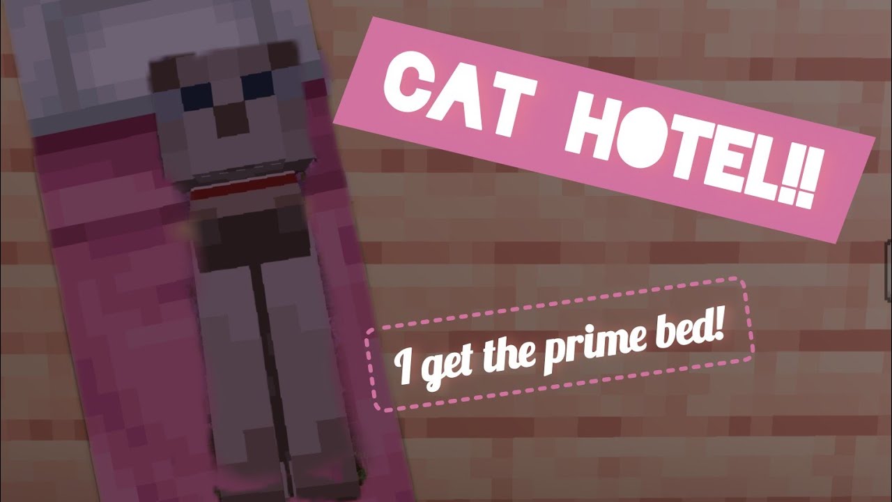 Touring a Cat Hotel that I made in Minecraft! | Little Cat Lady - YouTube