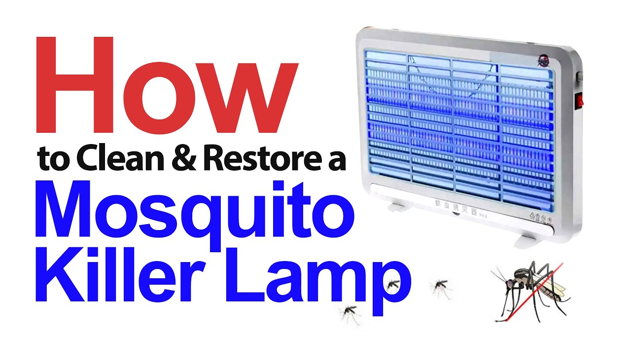 How to Clean & Restore a Mosquito Killer Lamp | Step-by-Step Guide ...