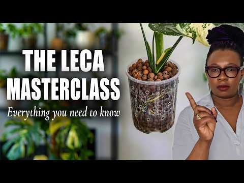 Everything I Learned in 5 Years of Growing in LECA (Complete Guide)