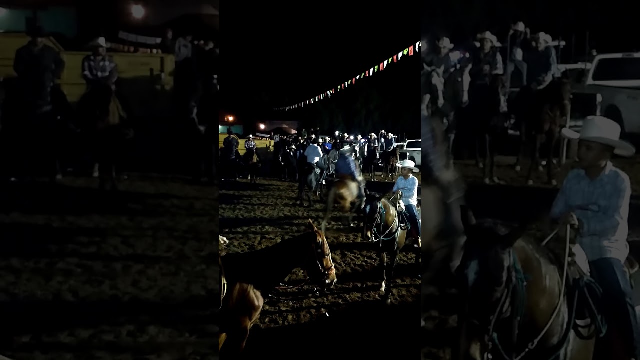 Fiestas de coleadas( Mazates de los Sánchez) - YouTube