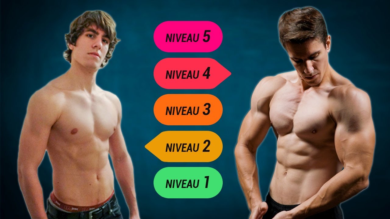 De Débutant à Élite En Muscu Guide Naturel Complet Youtube