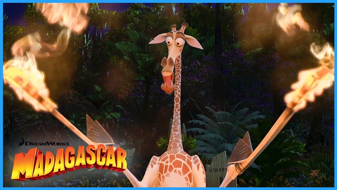Melman sets himself on fire! | DreamWorks Madagascar - YouTube