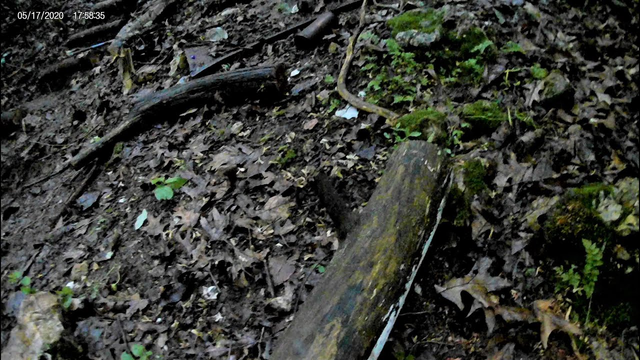 23) Forest Trail - How to Build Rustic Log Steps, Using the ...