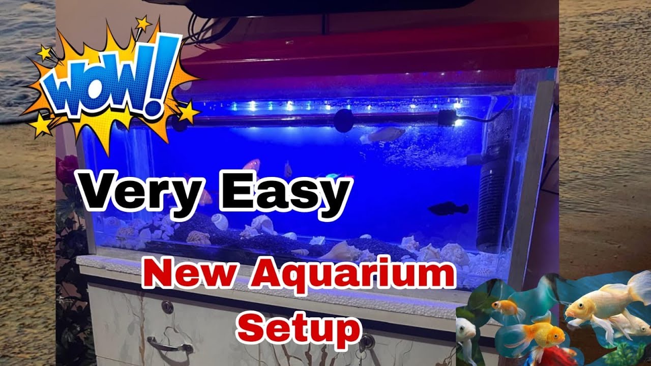 New Aquarium Setup | New Fish Aquarium setup 🐟 New fishes Aquarium ...