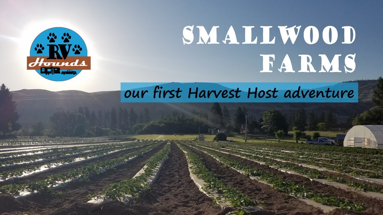 Smallwood Farms Harvest Host June 2023 - YouTube